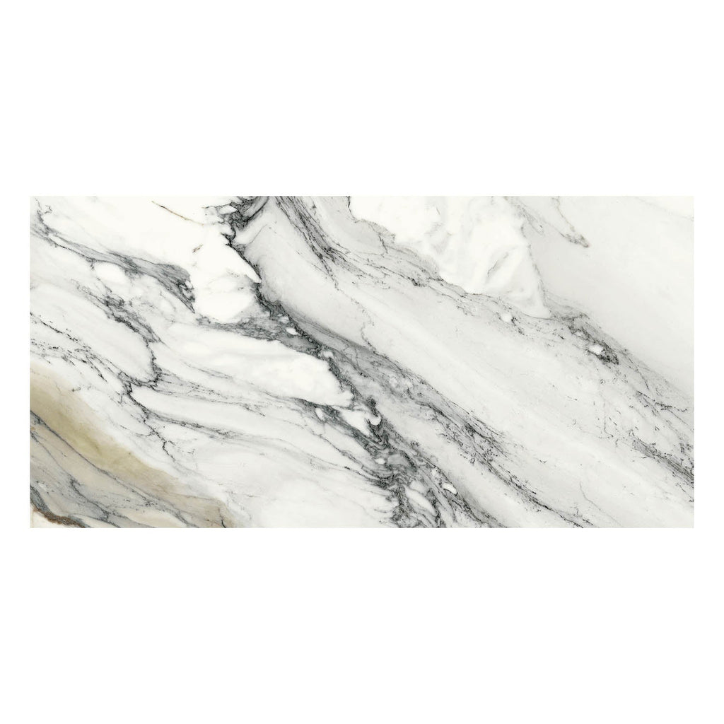 Archetype Umina 24x48 Matte Porcelain Tile – Glazzio Surfaces