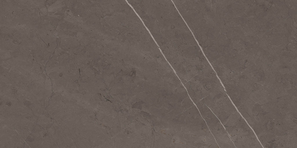 Ecstasy Delirium 24x48 Matte Porcelain Slab – Glazzio Surfaces