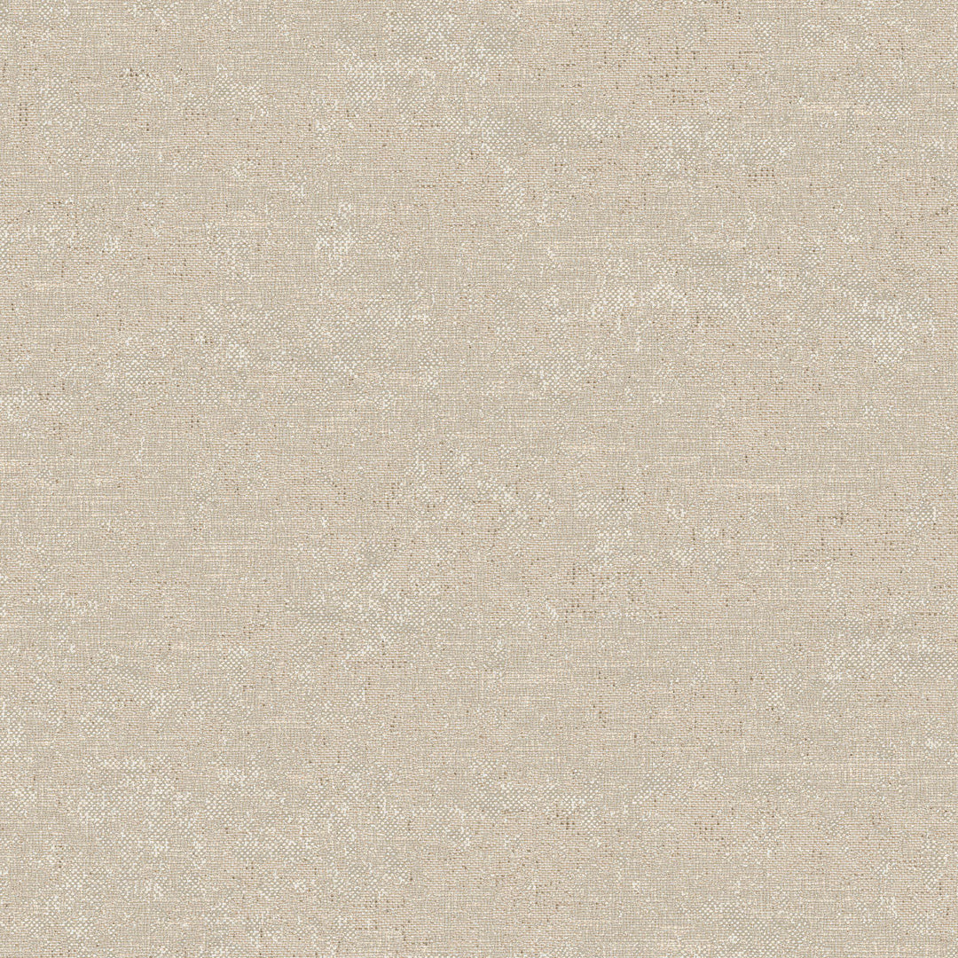 Tesoro Cambric Reverie 48x48 Textured Matte Porcelain Tile – Glazzio ...