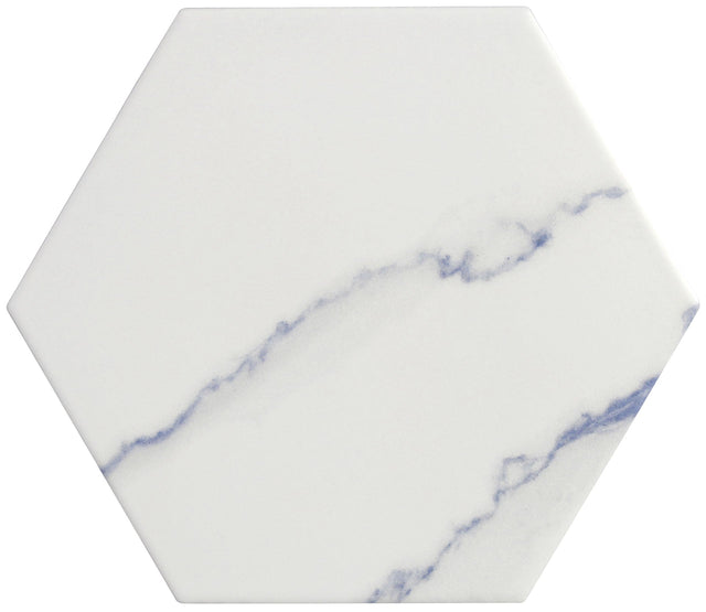 Bismarck Palmer Aloe Cream 8x9 Porcelain Hexagon Tile – Glazzio Surfaces